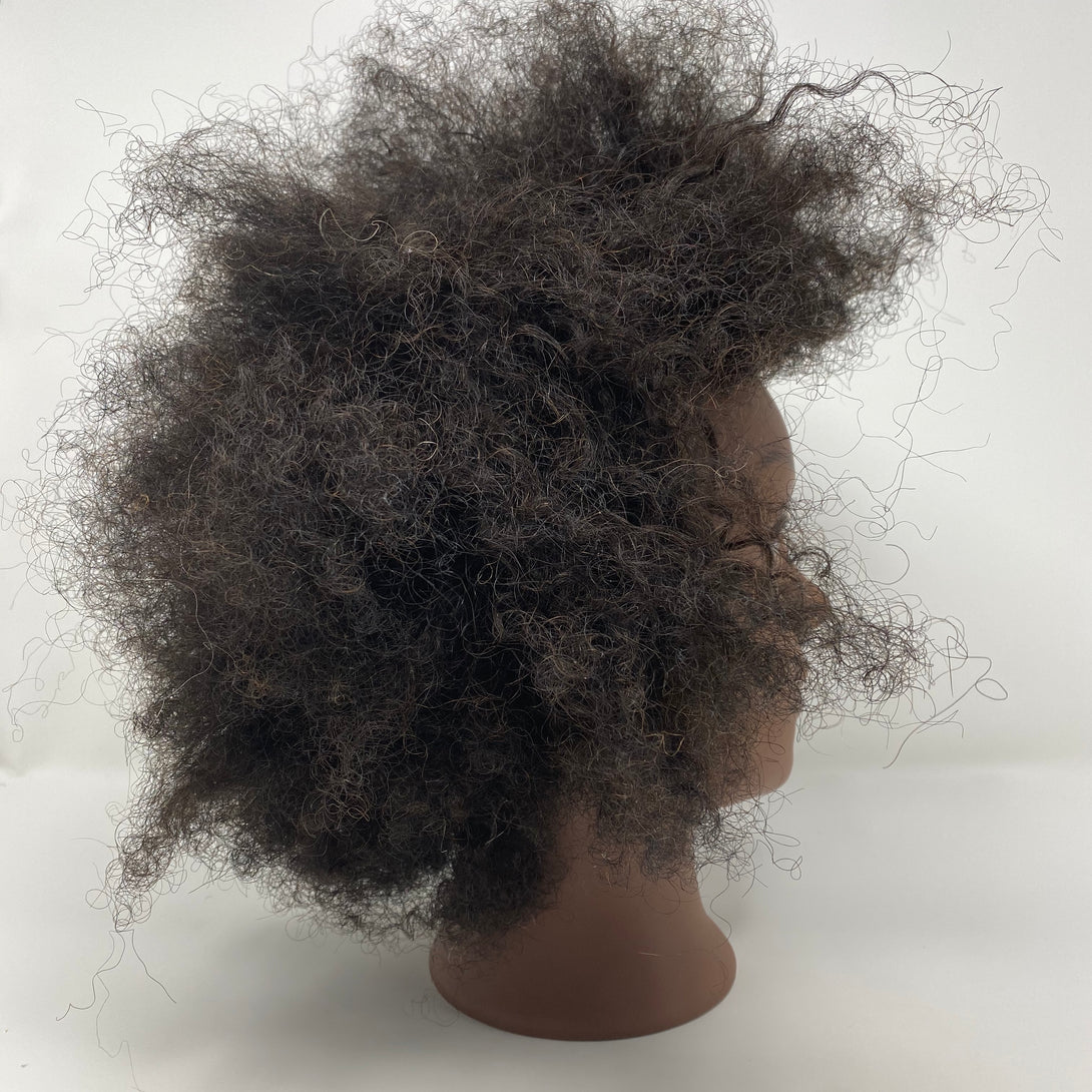 Afro Kinky Training Mannequin Head 100% Human Hair 6" – Locsanity