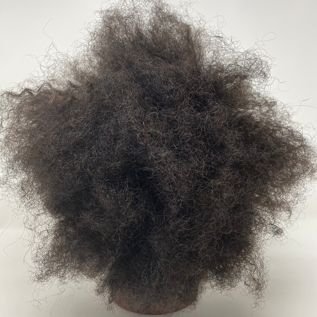 Afro Kinky Training Mannequin Head 100% Human Hair 6" – Locsanity